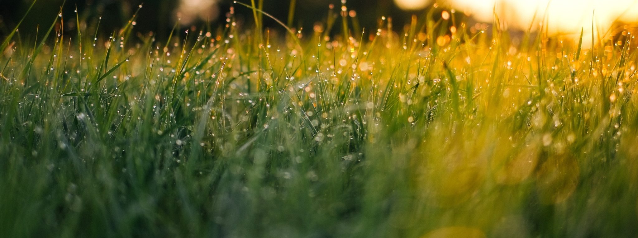 About us - Digital Science