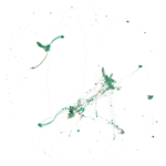 Dimensions - Digital Science